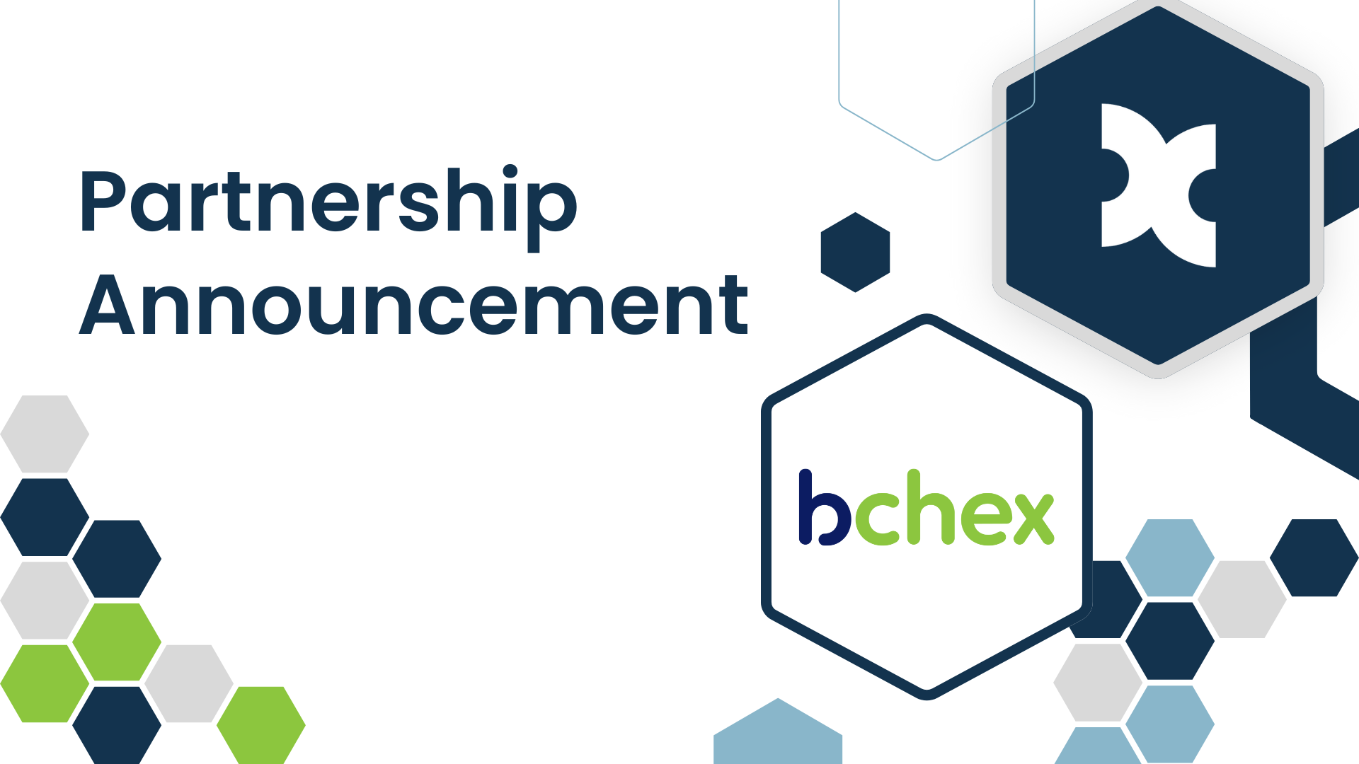 Fast, AI-Powered Background Checks | Bchex